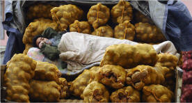 World Hunger Notes -- 2008 food and hunger crisis